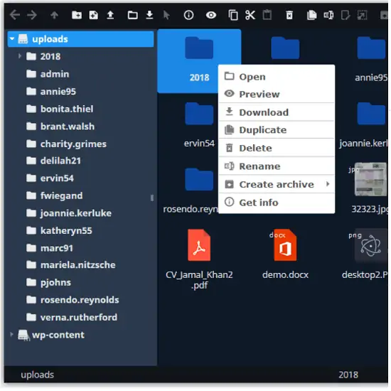 The 9 Best WordPress File Upload Plugins for 2024 (Free & Paid)